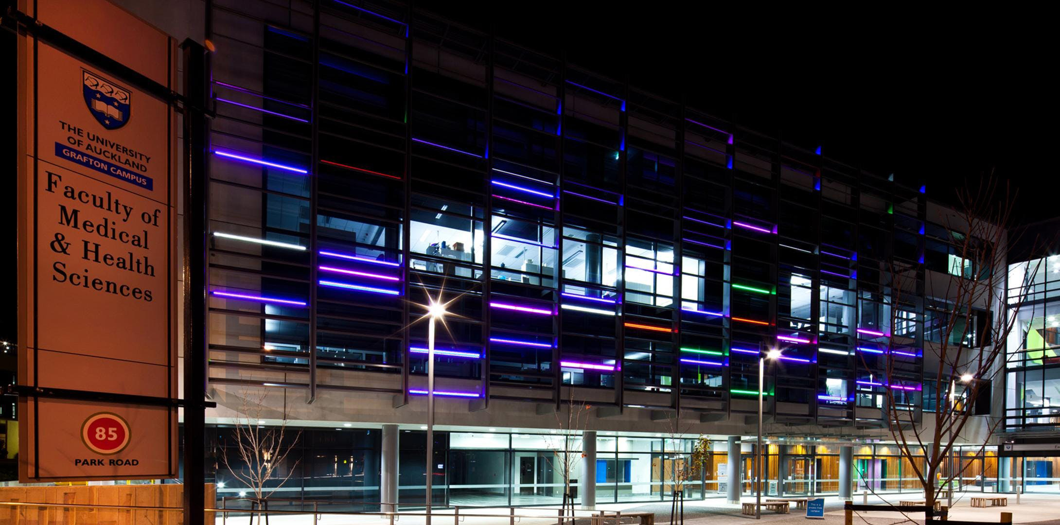 Gordon Sanderson Scholars | Glaucoma NZ